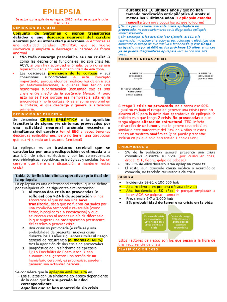 Guía Actualizada sobre Epilepsia 2025 | PDF | Epilepsia | Enfermedades ...