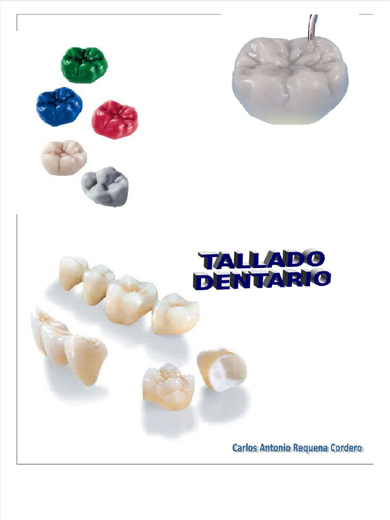 Tallado Anatómico Dental | PDF | Ramas de Odontología | Boca