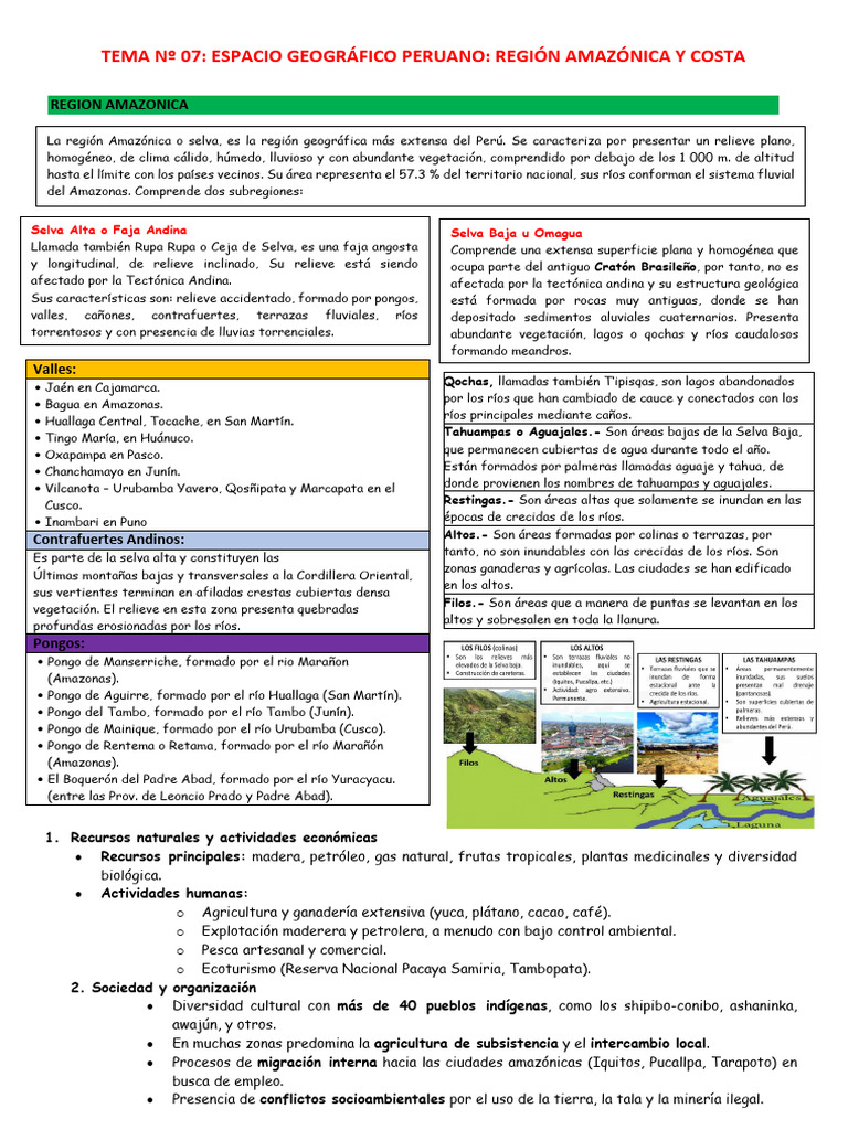 Tema 7 Region Amazonica y Costa | PDF | Perú | Costa