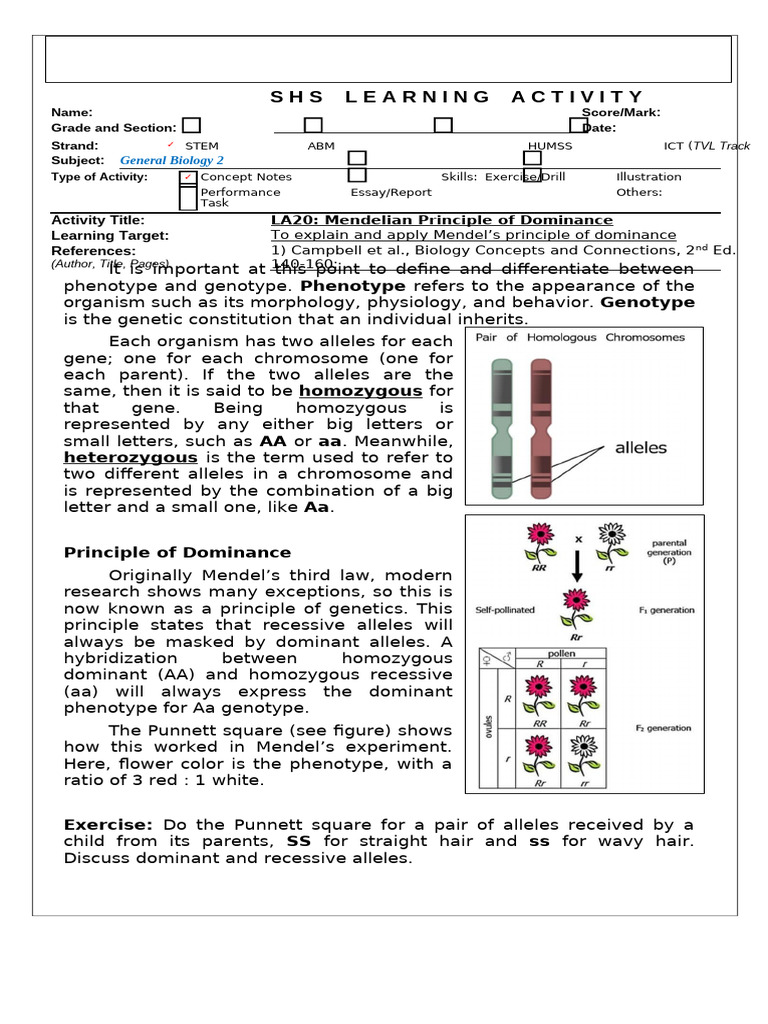 Gen Biology 2 LAS 20 Mendelian Principle of Dominance | PDF | Dominance ...