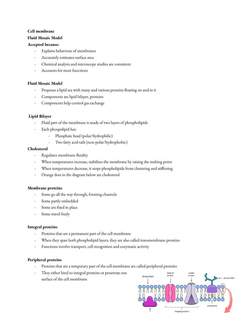 Biology Notes2-Fluid Mosiac Model | PDF