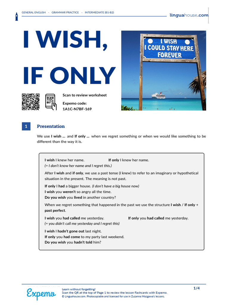 I Wish and If Only: Grammar Guide | PDF