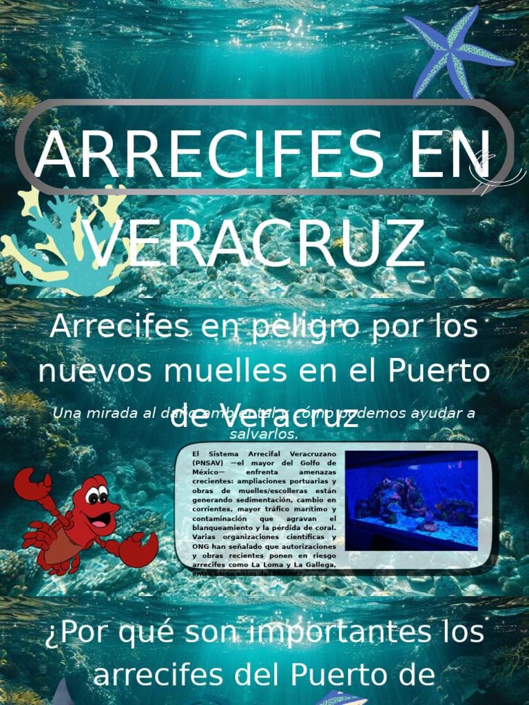 Arrecifes en Peligro en Veracruz | PDF | Arrecife de coral | Ciencias ...