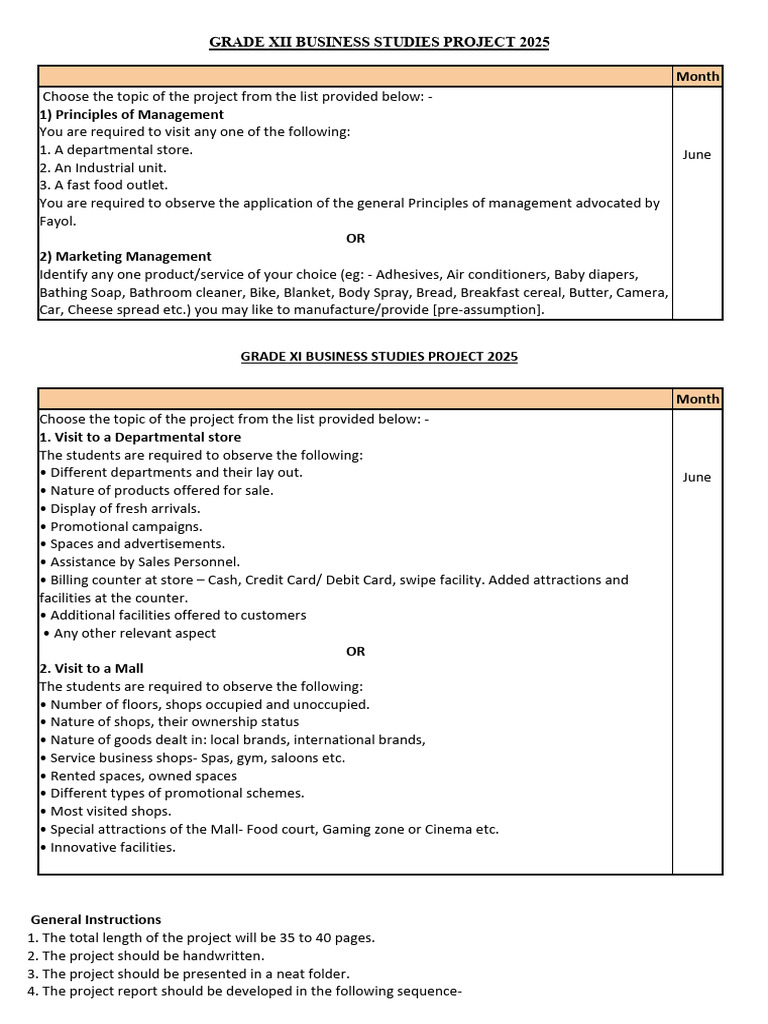 Business Studies Project Guide 2025 | PDF