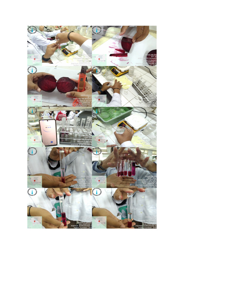 Fistan | PDF
