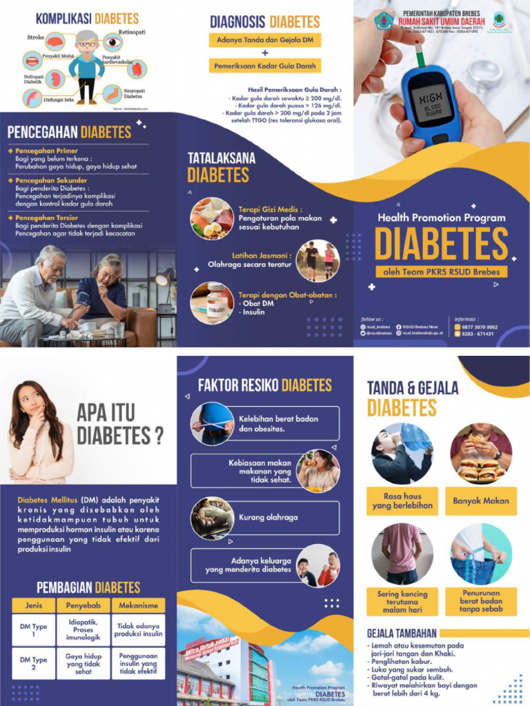 Leaflet Program Diabetes | PDF