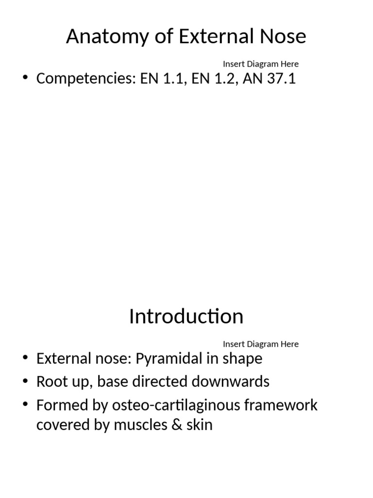 Nose Ppt With Placeholders | PDF | Human Nose | Respiratory System
