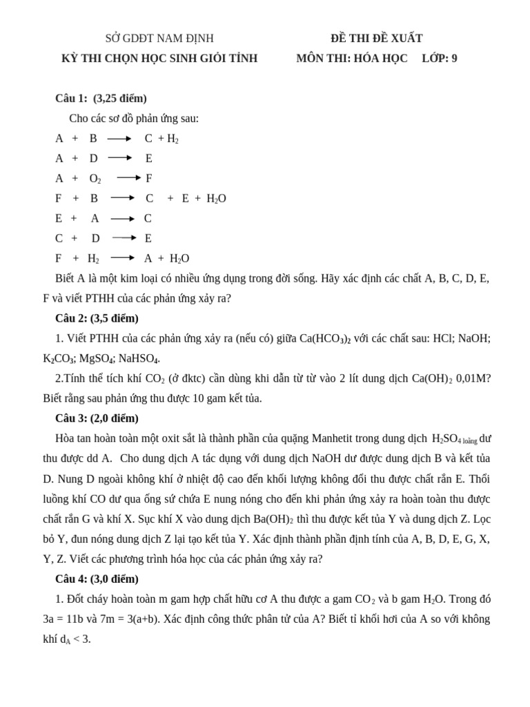 2. Đề Đề Xuất Thi HSG Hoá 9-Phạm Thị Thuỳ Vân-THCS Nam Toàn-Nam Trực (1) | PDF