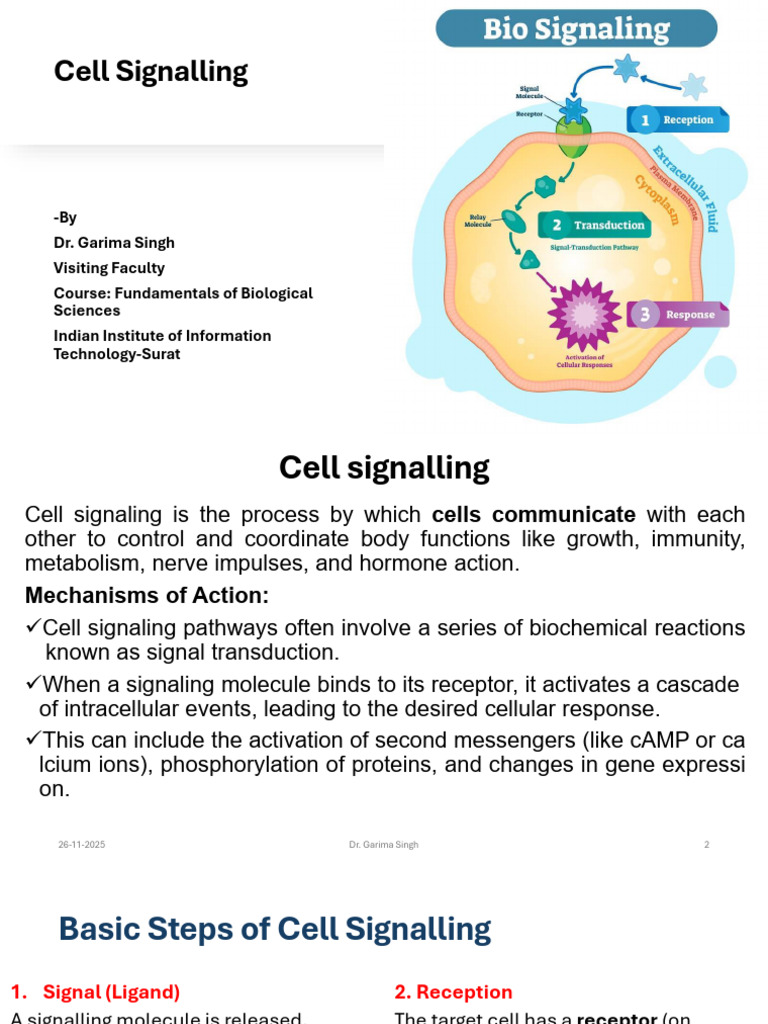 Lecture 14 Cell Signalling | PDF | Cell Signaling | Signal Transduction