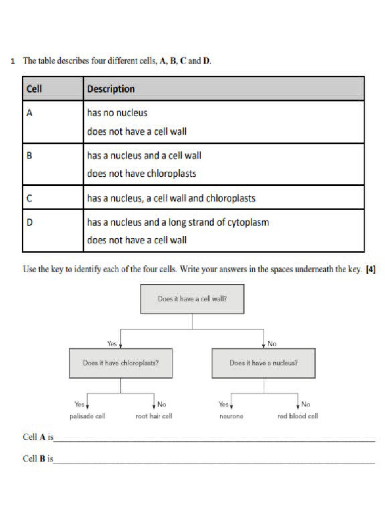 Mid-Term | PDF