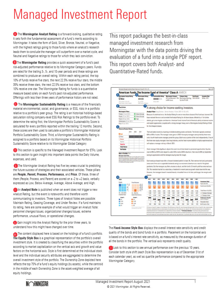 Managed Investment Report | PDF
