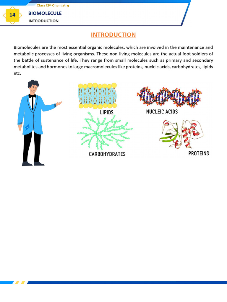 Carbohydrates: Types and Functions | PDF | Nucleotides | Carbohydrates