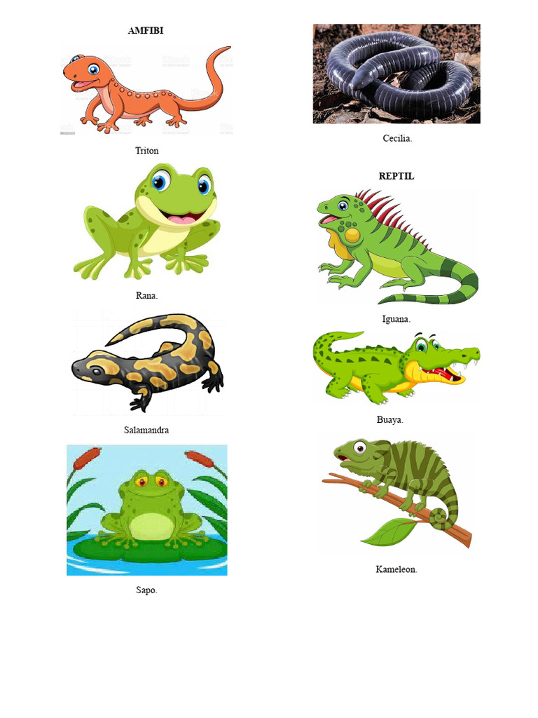 Amfibi dan reptil hewan | PDF