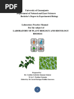 Function and Role of Plumule in Seeds | PDF | Seedling | Biology