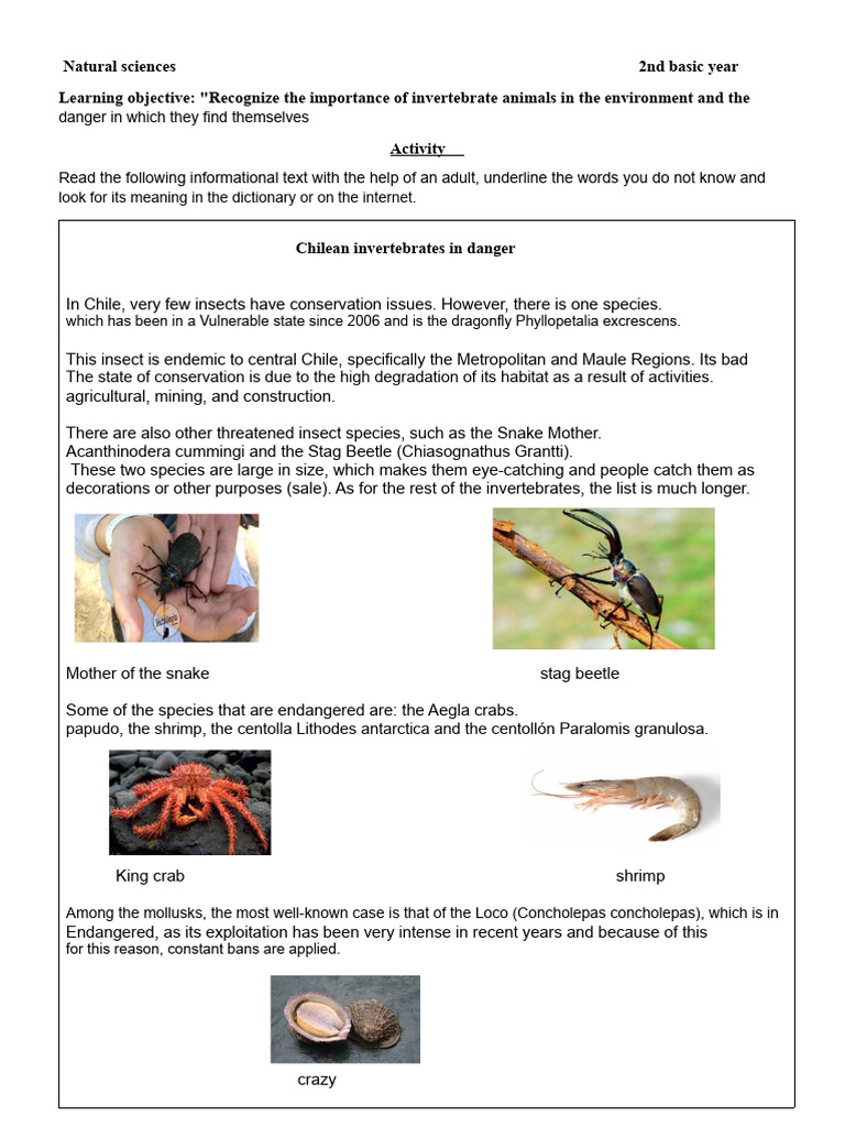 Natural Sciences Invertebrates in Danger | PDF | Habitat | Endangered ...