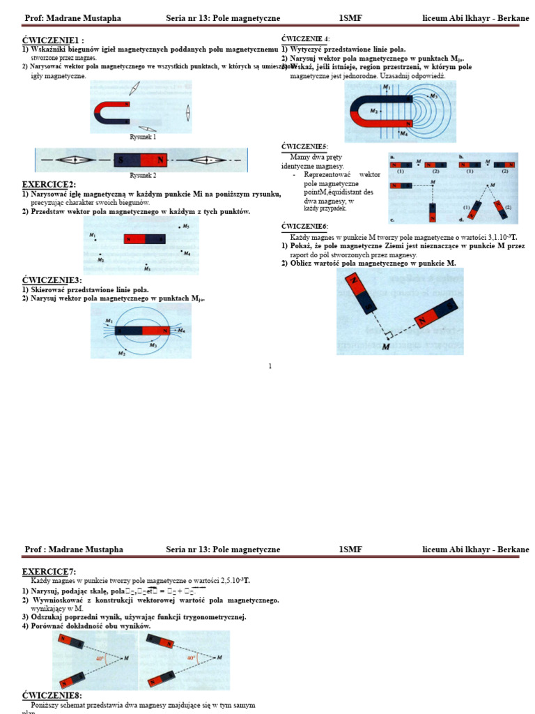 Serie13 EX Pole Magnetyczne | PDF