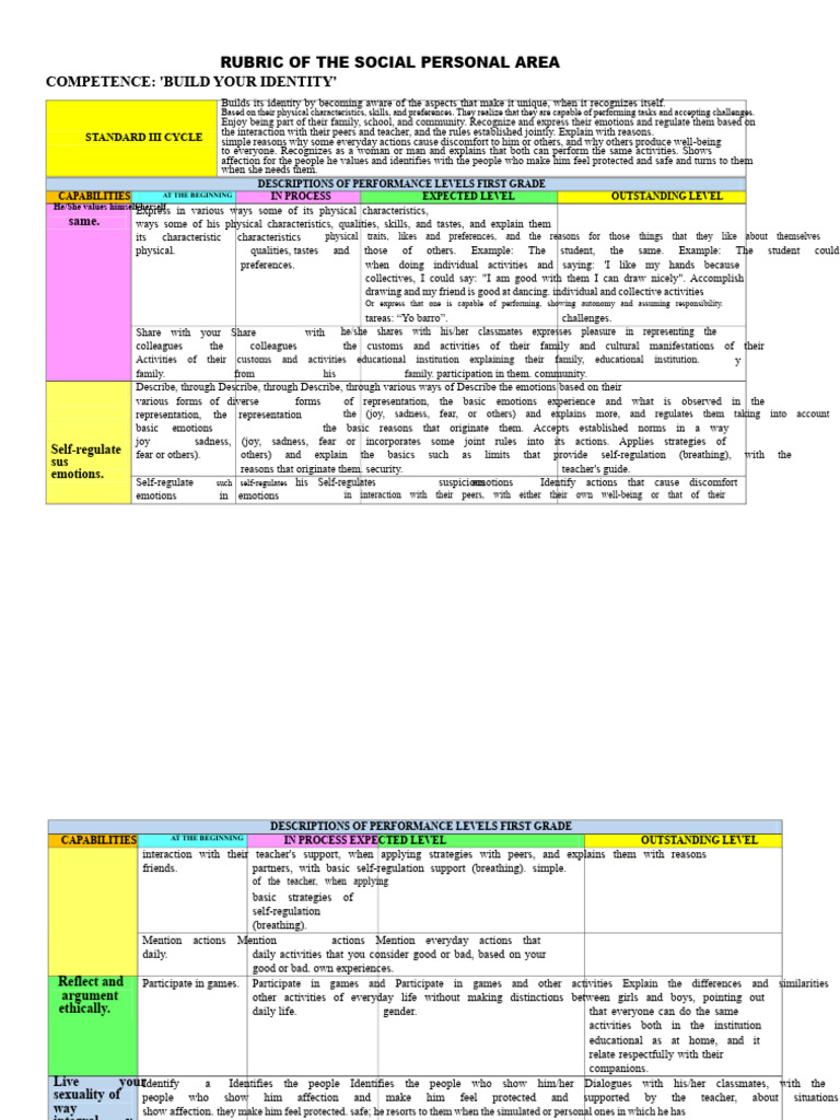 1st GRADE RUBRIC | PDF | Nonverbal Communication | Emotions