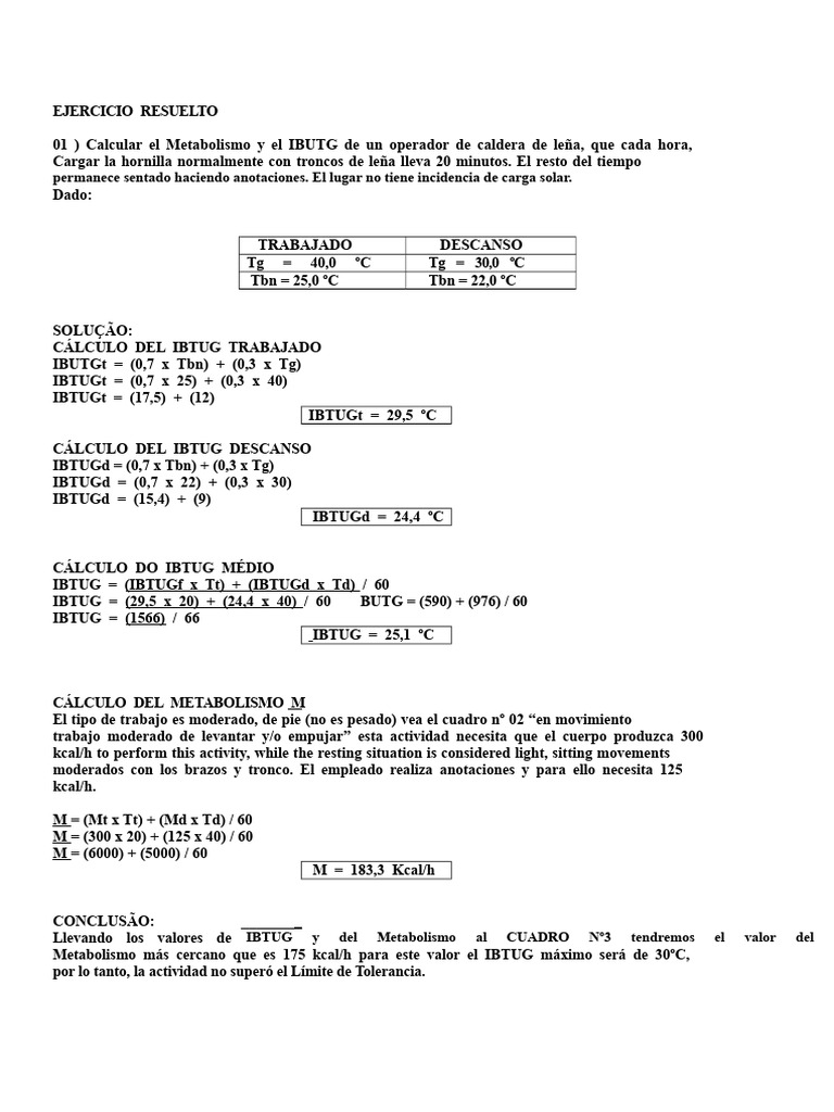 Ejercicio - Cálculo Ibutg | PDF