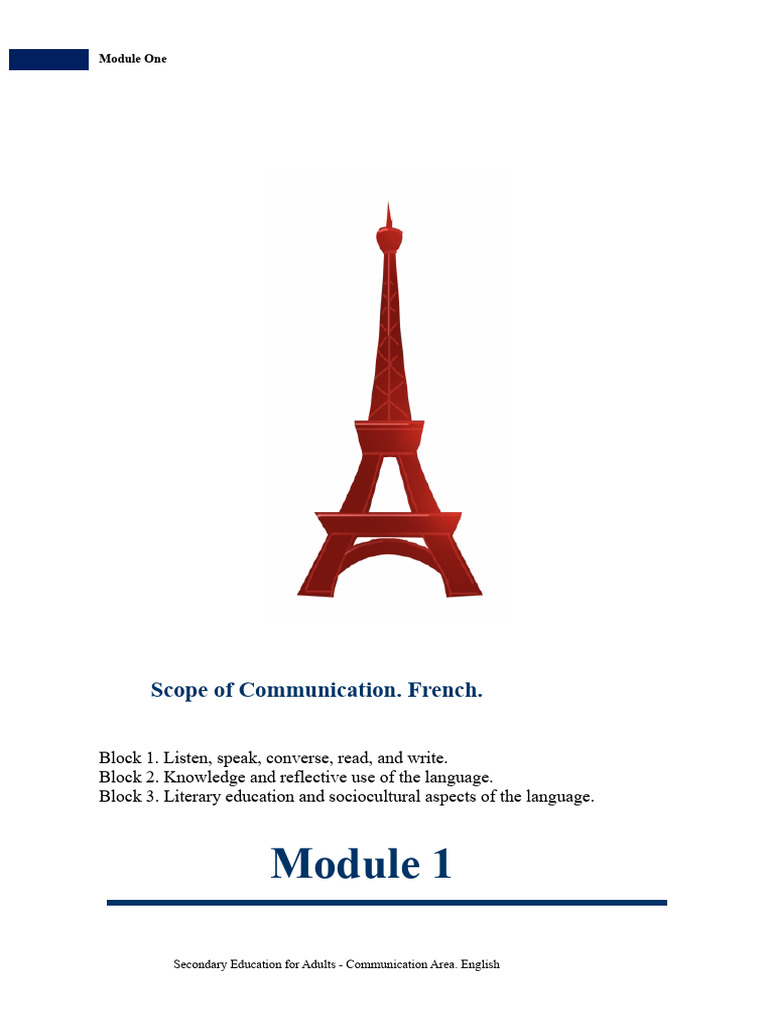 French Communication Basics for Adults | PDF | Grammatical Gender ...