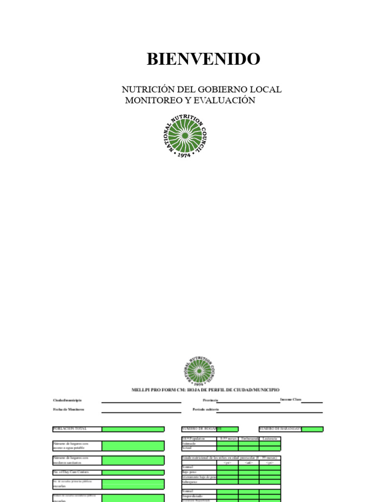 03092023 MELLPI Pro Forma para CityMun 2 OK | PDF | Presupuesto | Obesidad