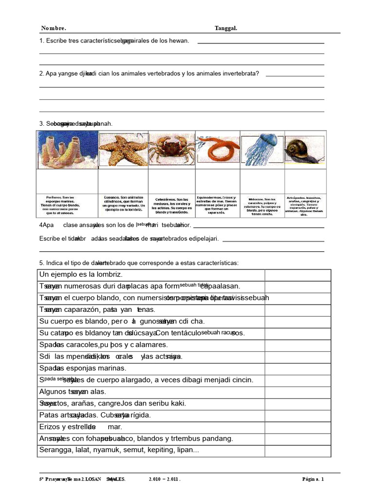 Hewan Invertebrata Dasar | PDF | Vertebrados | Zoología