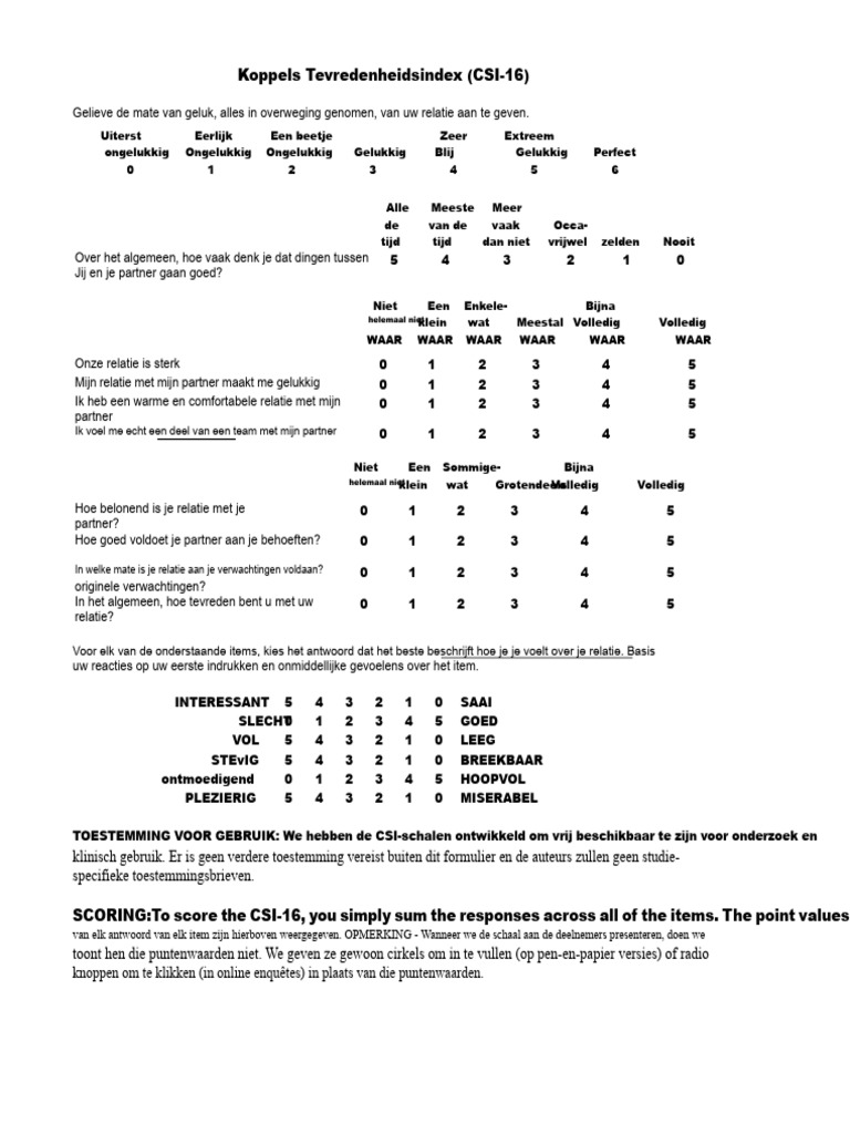 CSI 16 Scoring | PDF