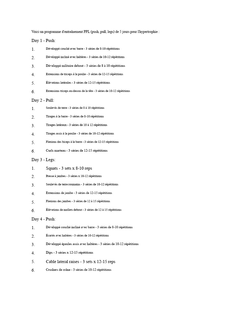 PPL Entraînement ChatGPT | PDF