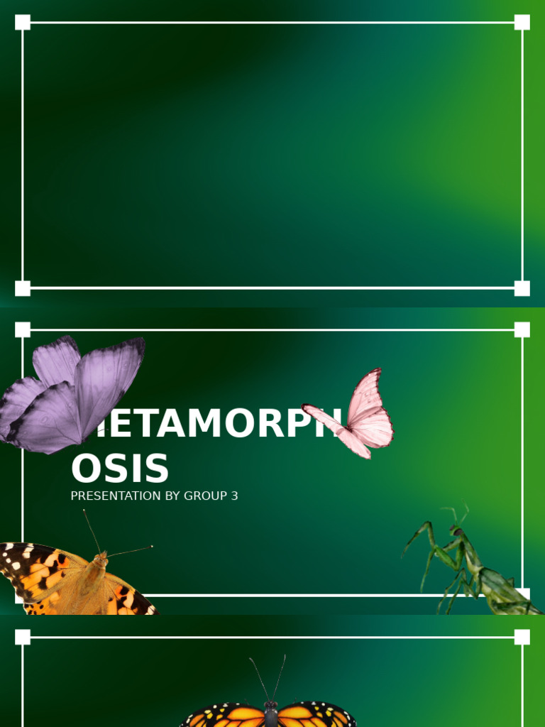 Metamorphosis | PDF | Pupa | Hexapoda