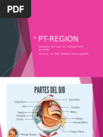 Cerclaje de Rotula 1 | PDF | Articulación | Rodilla