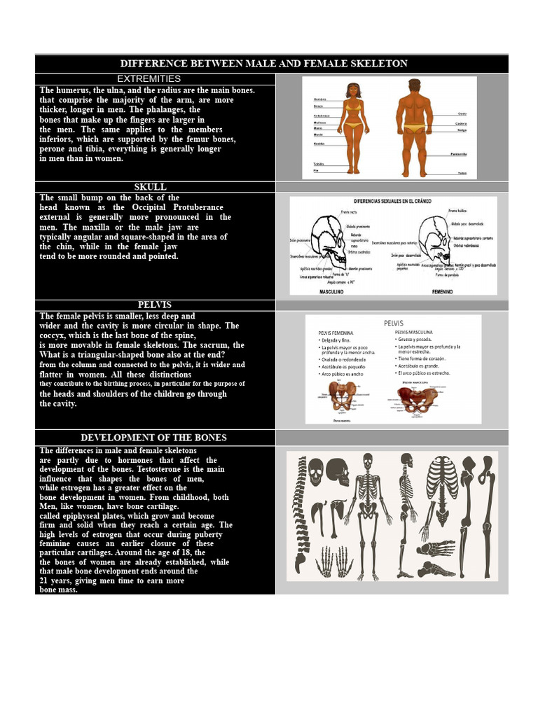 Male vs Female Skeleton Differences | PDF