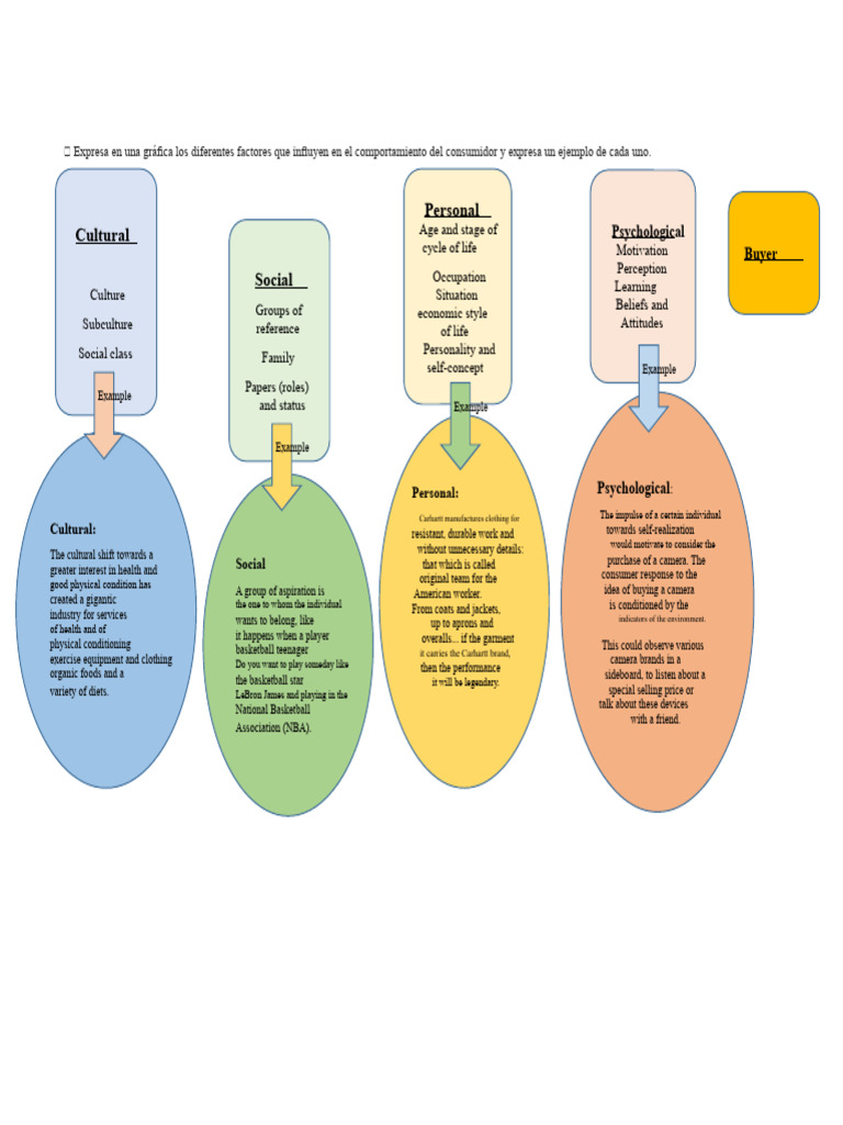 Express in A Graph The Different Factors That Influence Consumer ...