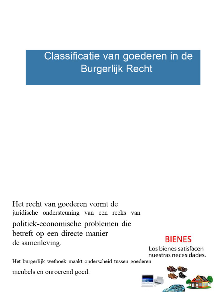 Classificatie Van Goederen in Het Burgerlijk Recht | PDF