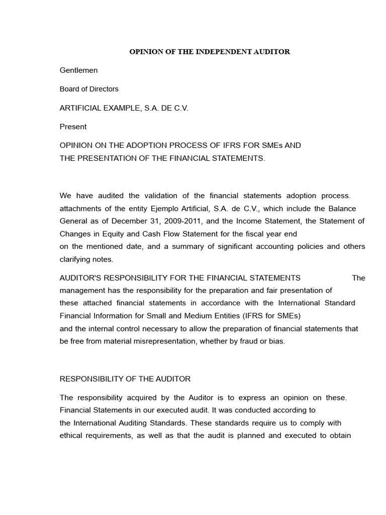 Independent Auditor's Report | PDF | Audit | Accounting