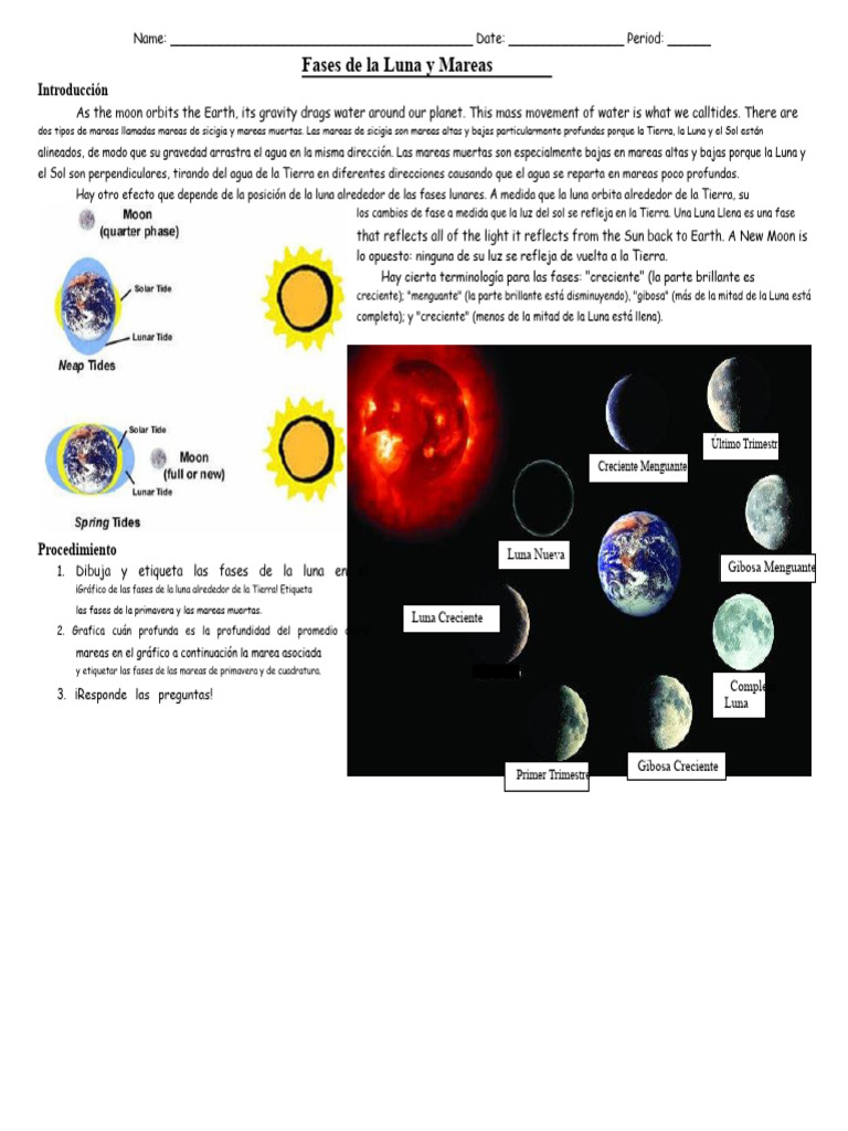 Fases de La Luna y Hoja de Trabajo Sobre Las Mareas - 1 | PDF | Luna ...
