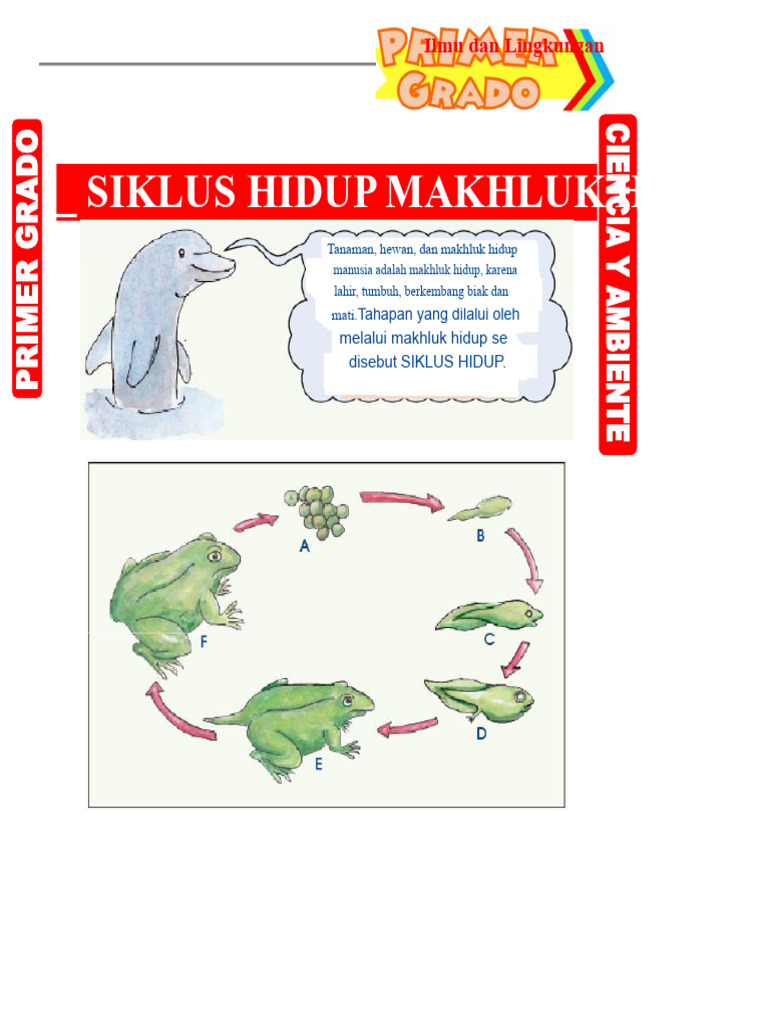 Siklus Hidup Makhluk Hidup dan Lingkungan | PDF