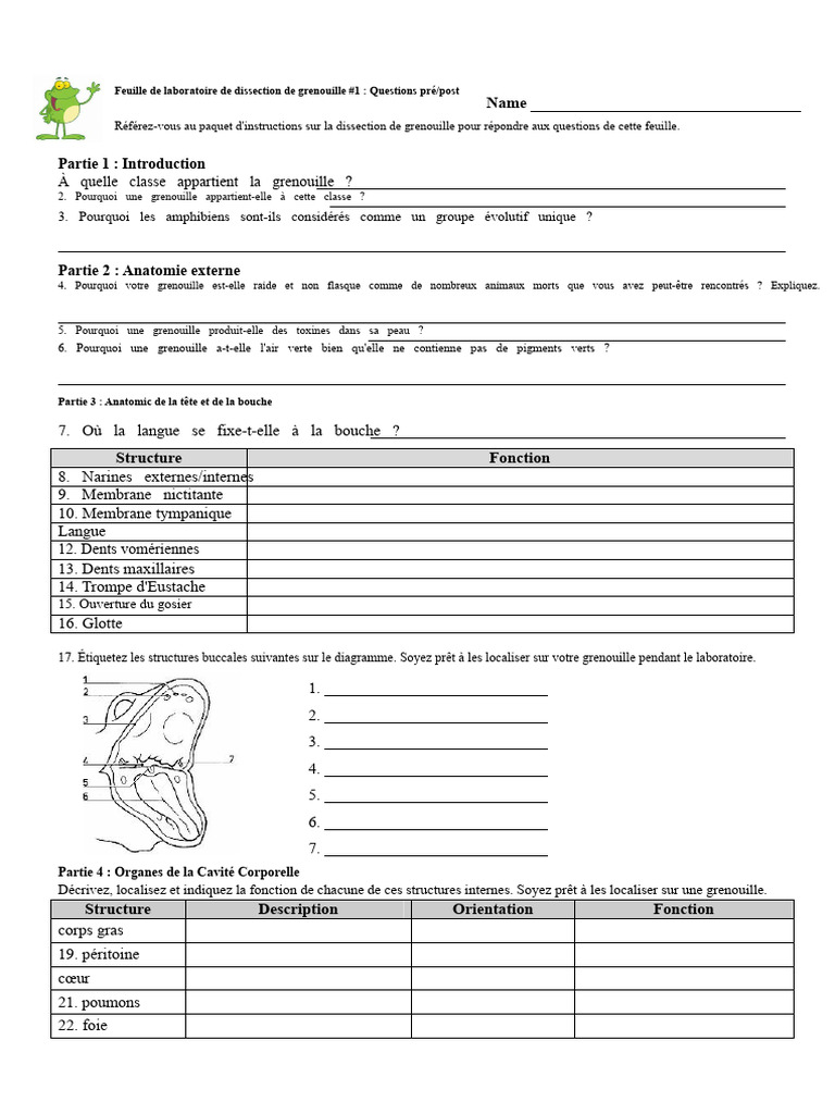 Feuille de dissection de grenouille : Questions | PDF | Grenouille ...