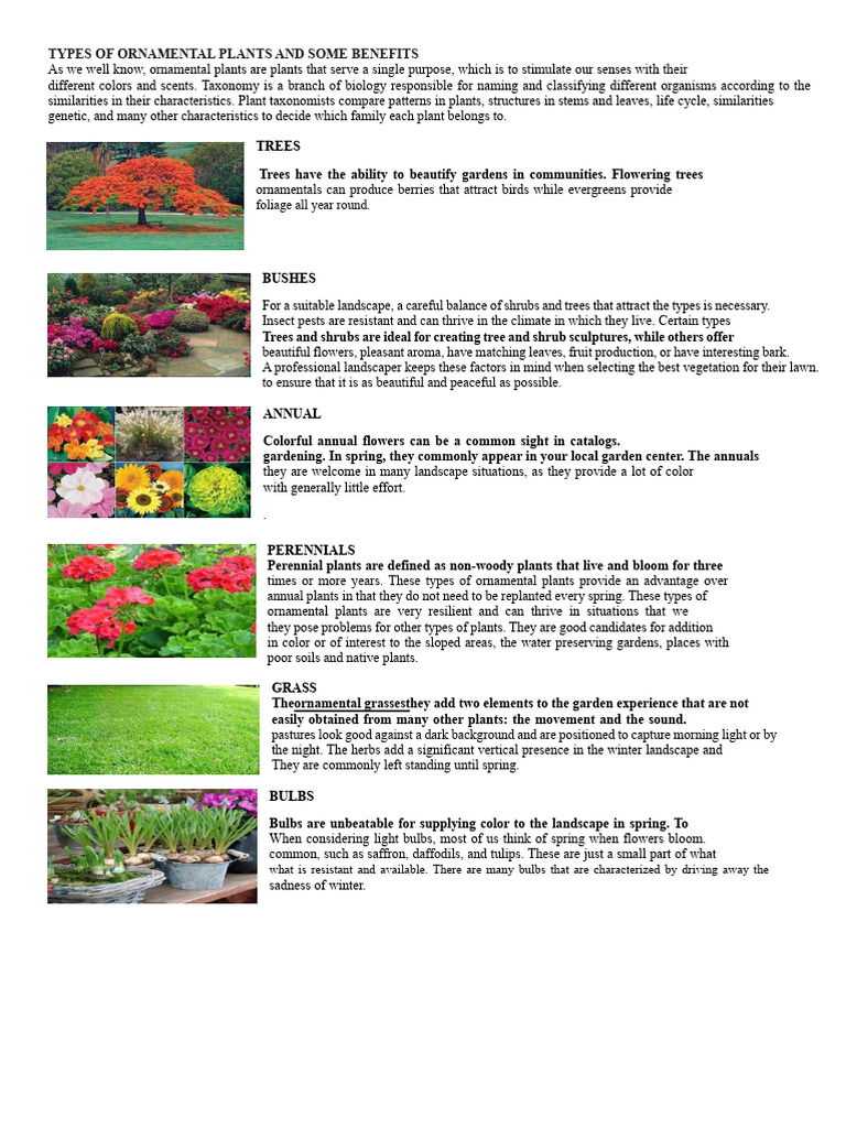 Types of Ornamental Plants Explained | PDF | Trees | Organisms