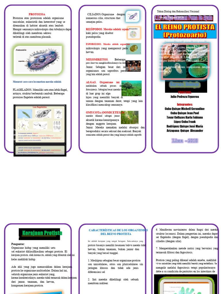 Klasifikasi dan Ciri Protista Uniseluler | PDF