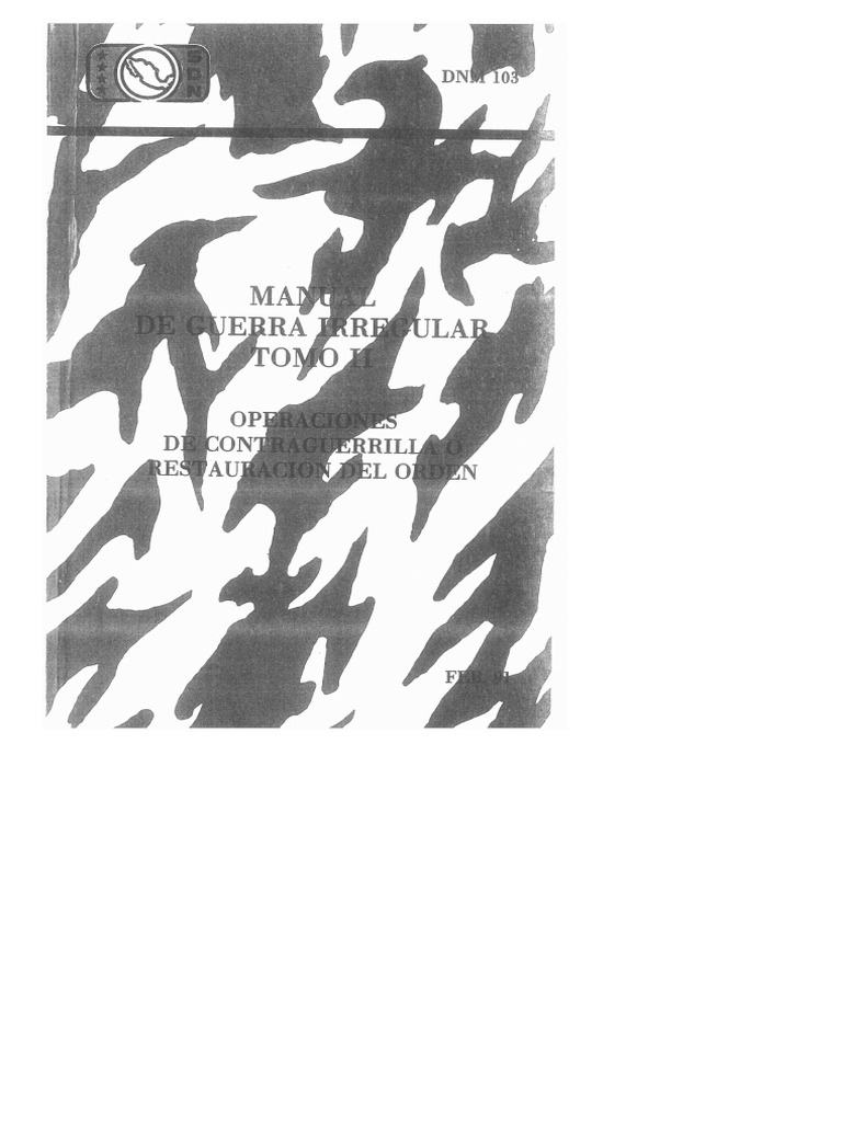 Irregular War Volume II | PDF