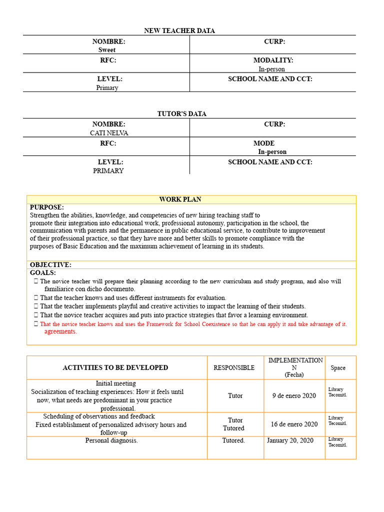 Work Plan Tutoring. Example To Carry Out With A Novice Teacher | PDF ...