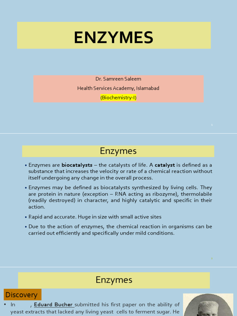 Enzymes (Biochemistry-I) For BSN | PDF | Active Site | Enzyme