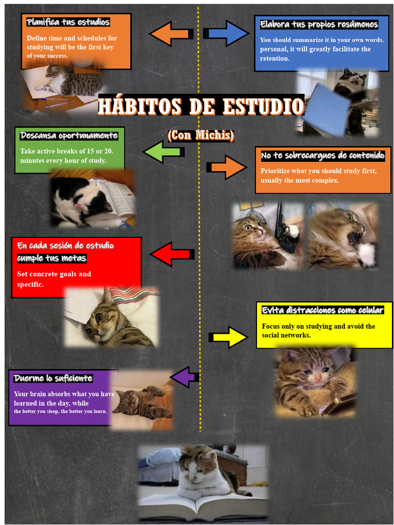 Infographic Study Habits | PDF