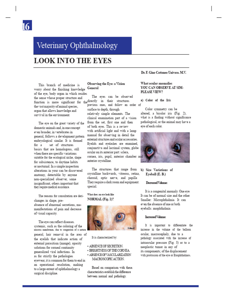 Ocular Anomalies in Veterinary Medicine | PDF | Human Eye | Cornea
