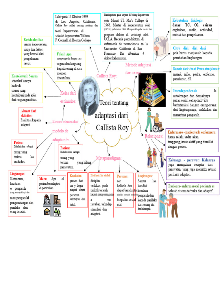 Teori Adaptasi Callista Roy dalam Keperawatan | PDF