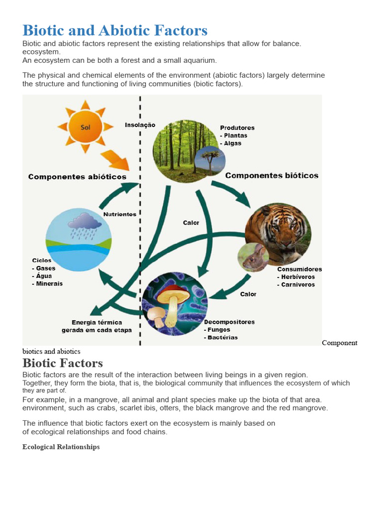 Biotic and Abiotic Factors | PDF | Ecosystem | Mangrove