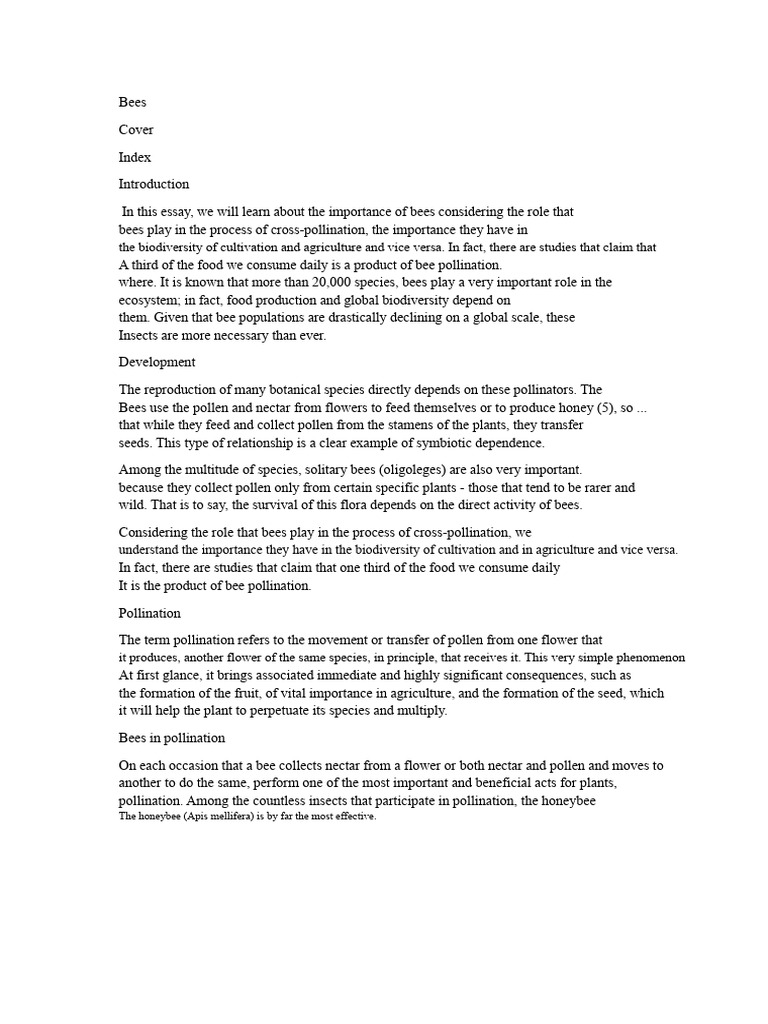 Essay On Bees | PDF | Pollination | Bees