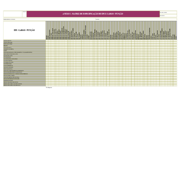 Matriz de EPI por Cargo y Función | PDF
