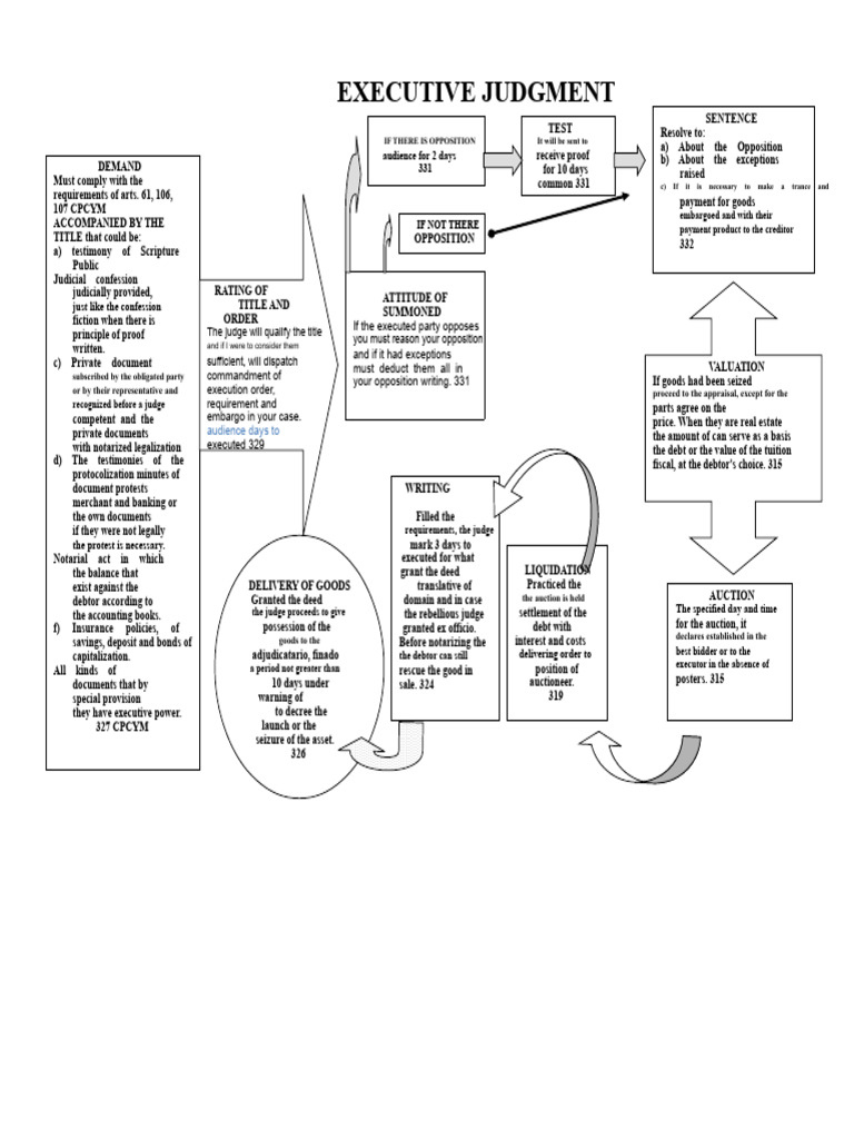 Common Executive Judgment Scheme | PDF | Auction | Debt