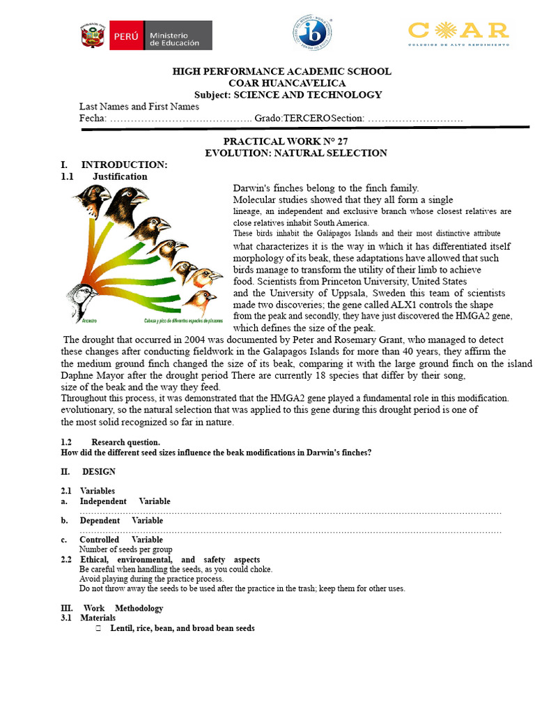 Natural Selection Practice | PDF | Biology | Biological Evolution