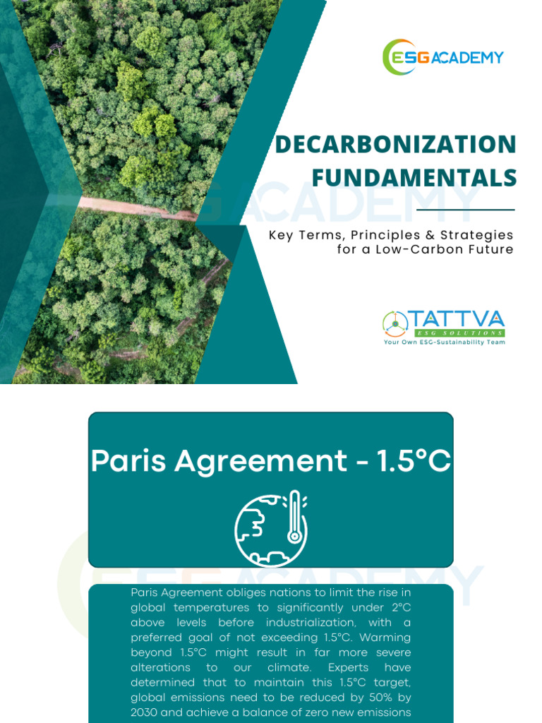 Decarbonization Fundamentals | PDF | Climate Change Mitigation | Greenhouse Gas